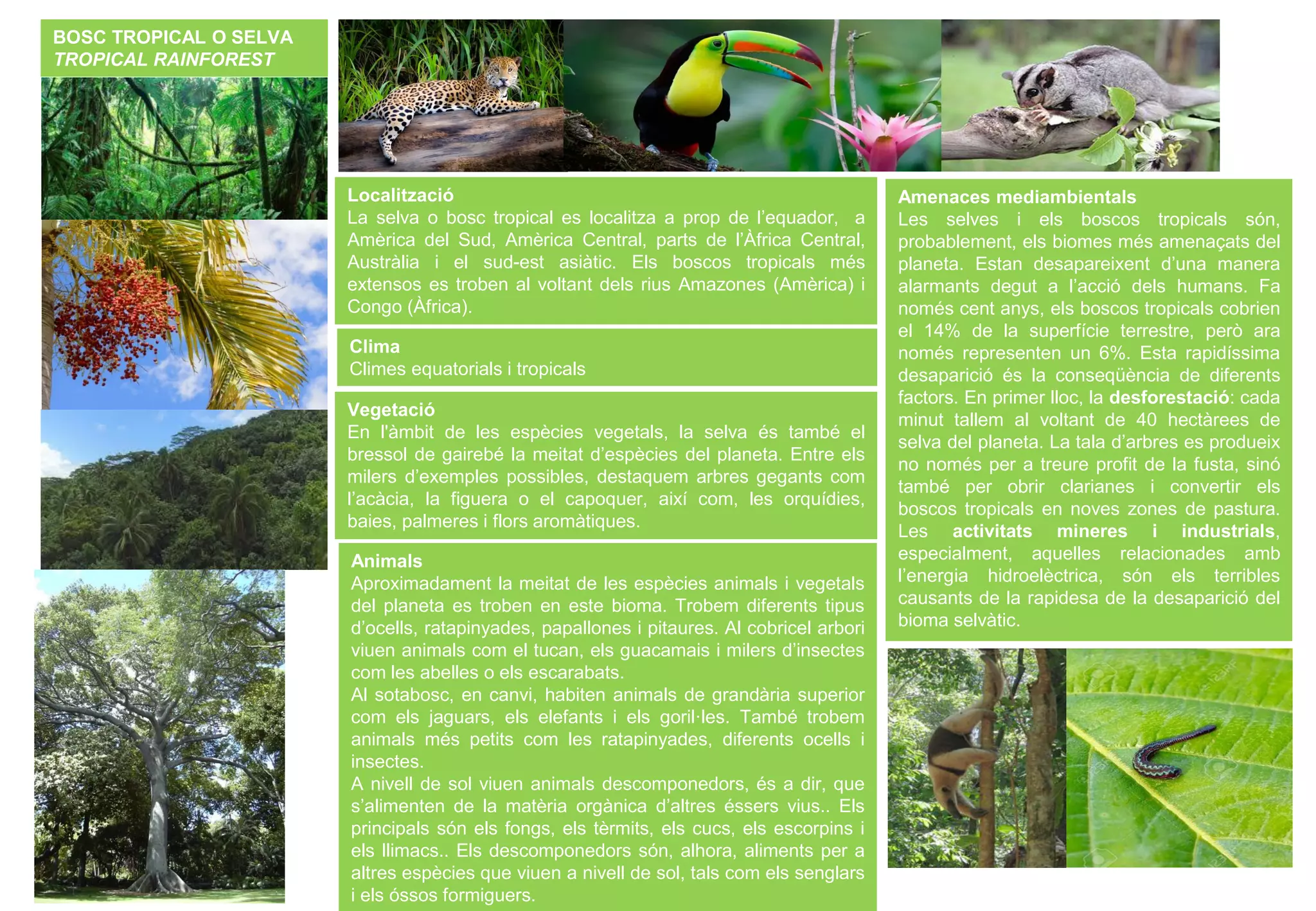 Biomes del mon | PDF