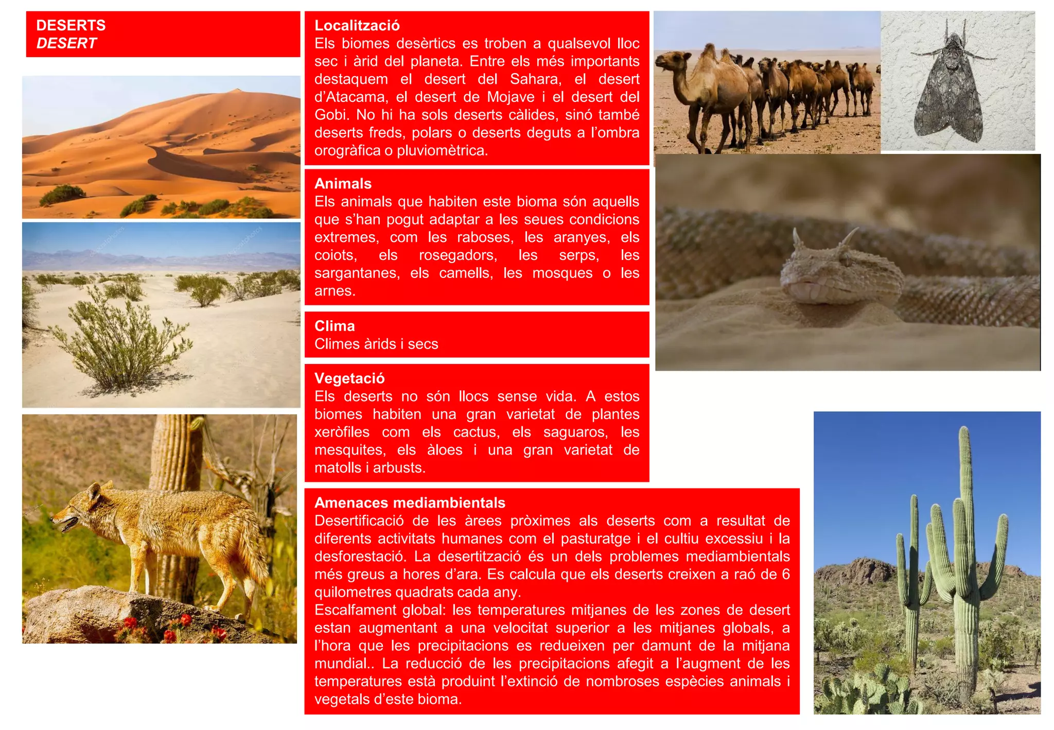 Biomes del mon | PDF