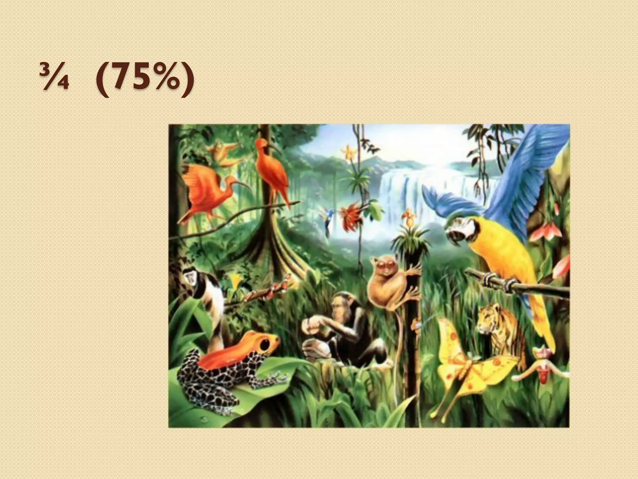 Biomes, ecosystems and habitats quiz 1 | PDF