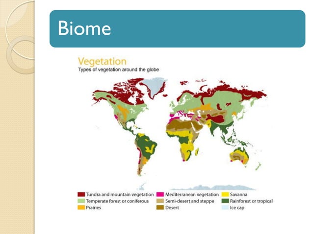 Biomes, ecosystems and habitats quiz 1 | PPT