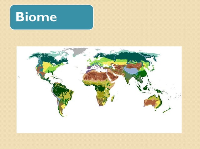 Biomes, ecosystems and habitats quiz 1 | PPT