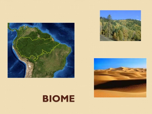 Biomes, ecosystems and habitats quiz 1 | PPT