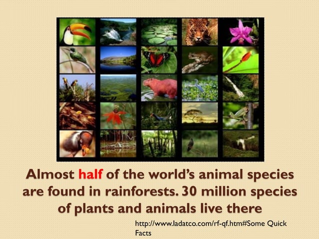 Biomes, ecosystems and habitats quiz 1 | PPT