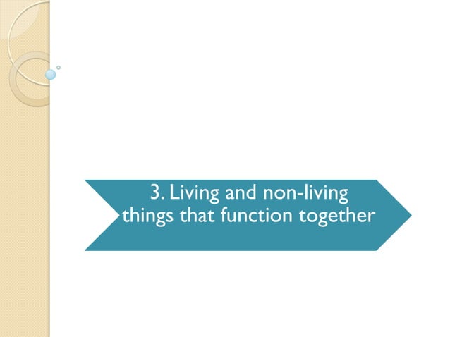 Biomes, ecosystems and habitats quiz 1 | PPT