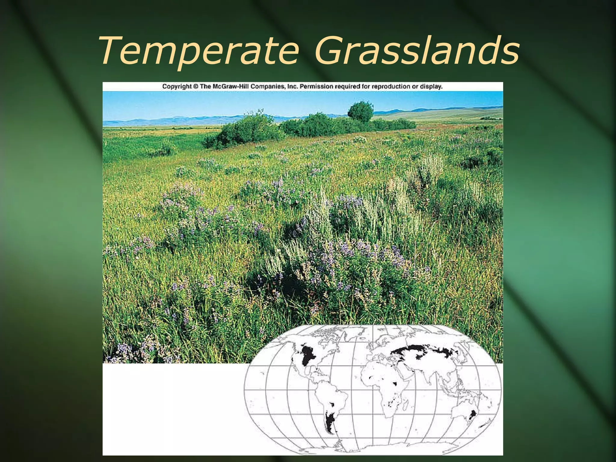 Biomes for box | PPT