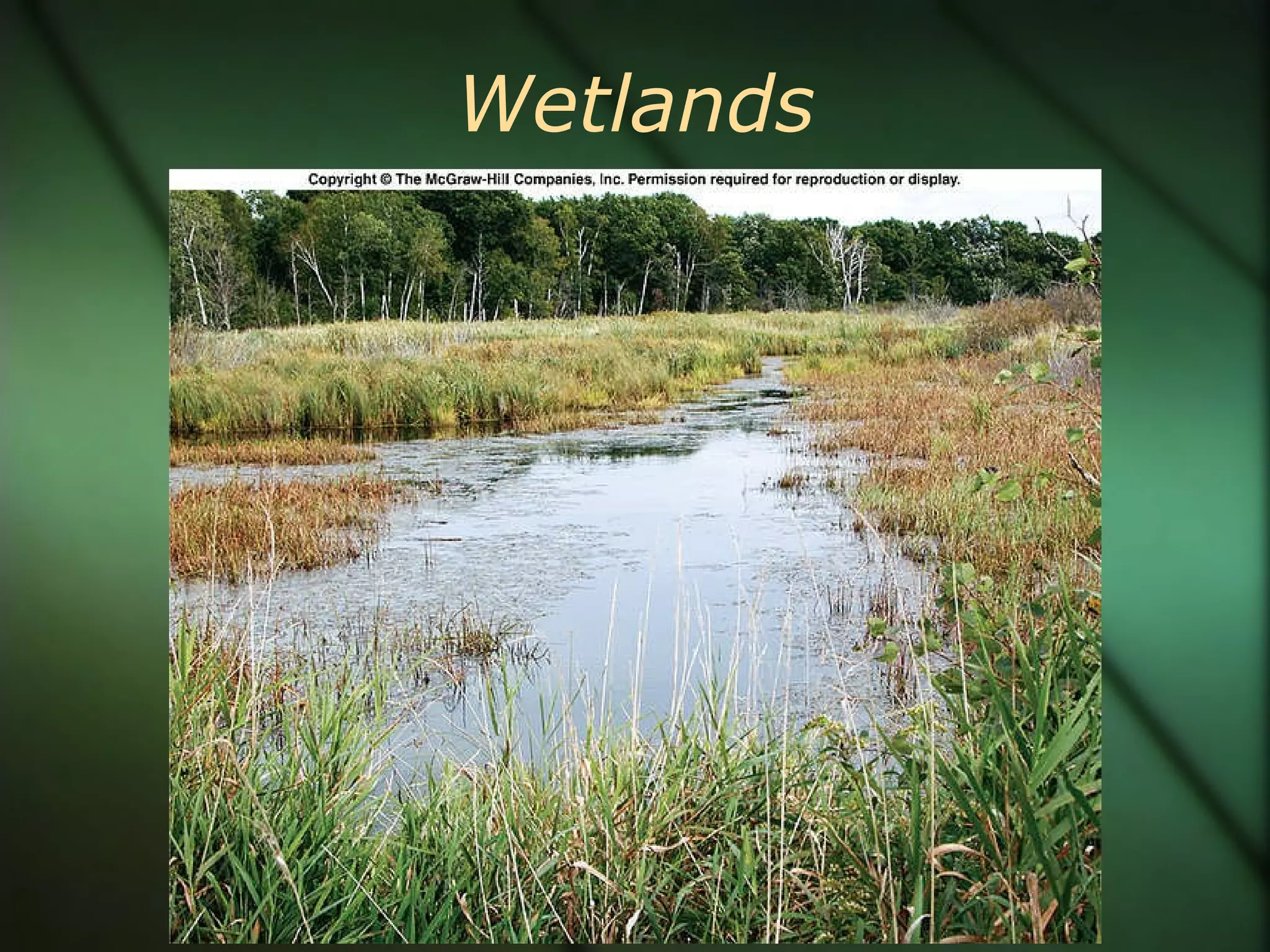 Biomes for box | PPT