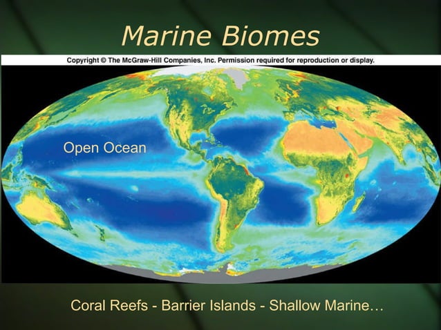 Biomes for box | PPT | Geography | Science