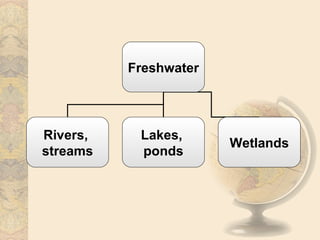 Biomes freshwater | PPT