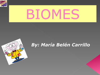 Biomes | PPT