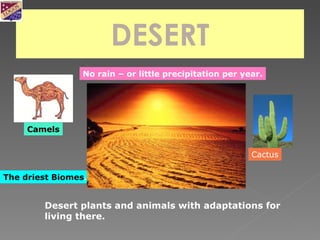 Biomes | PPT