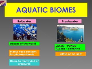 Biomes | PPT