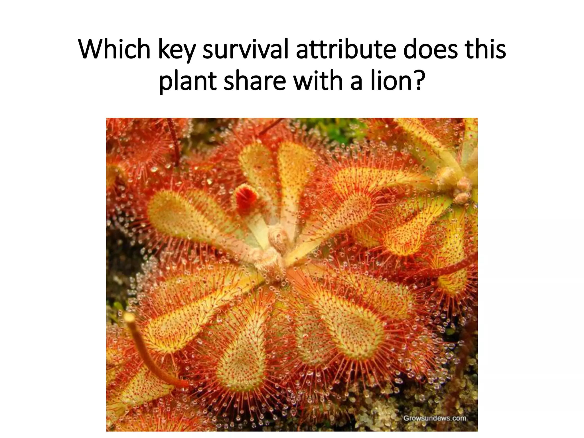 Biomes of SA Moodle.pdf