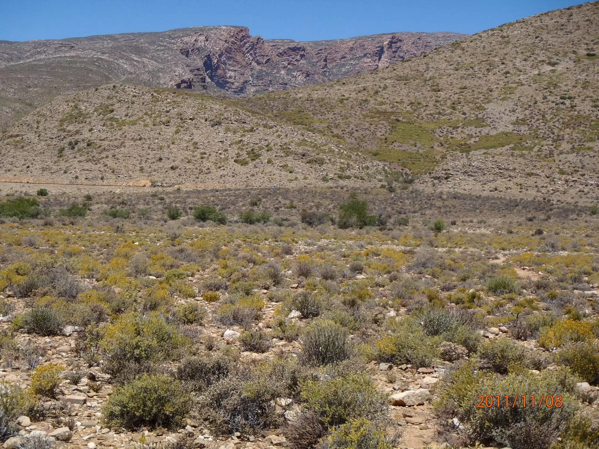 Biomes of SA Moodle.pdf