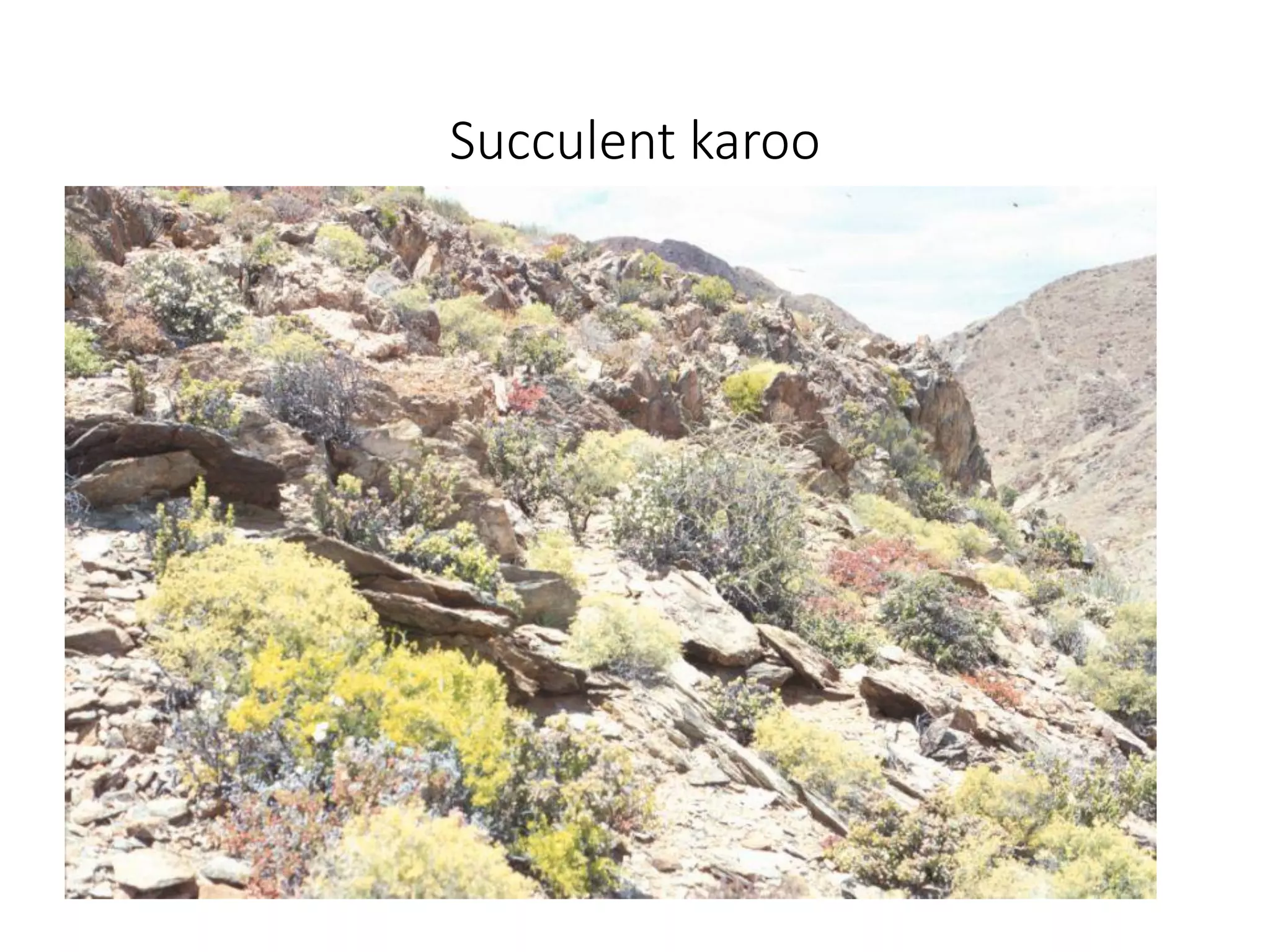 Biomes of SA Moodle.pdf