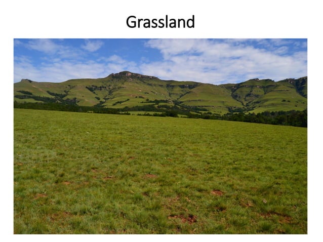 Biomes of SA Moodle.pdf