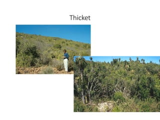Biomes of SA Moodle.pdf