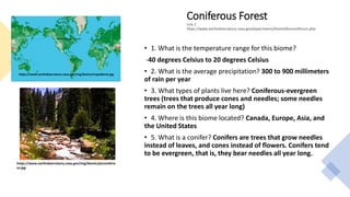 Biomes of the earth | PPTX | Geography | Science