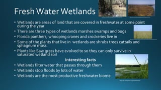 Biomes of the world | PDF