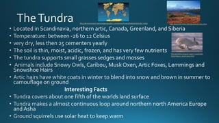 Biomes of the world | PDF