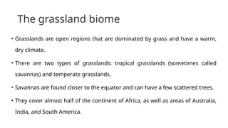 Biomes of the Worlds for undergraduate students | PPTX