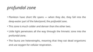 Biomes of the Worlds for undergraduate students | PPTX