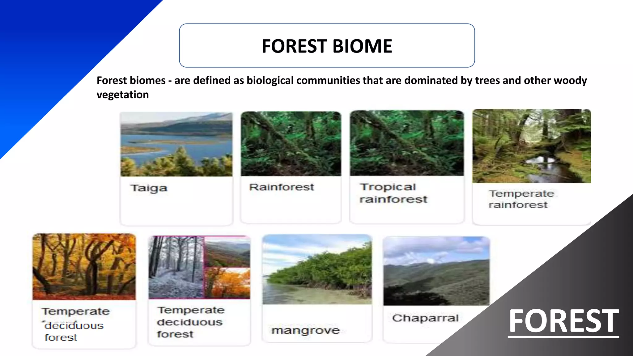 MAJOR BIOMES OF WORLD | PPTX