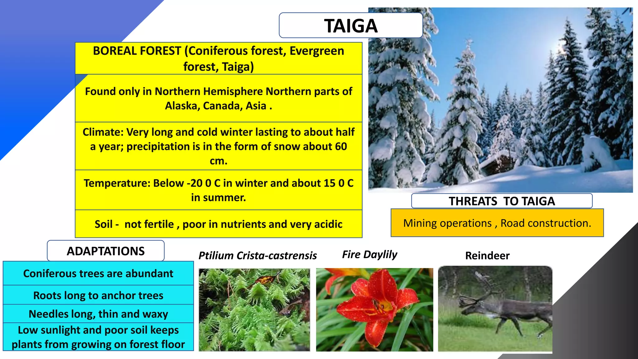 MAJOR BIOMES OF WORLD | PPTX