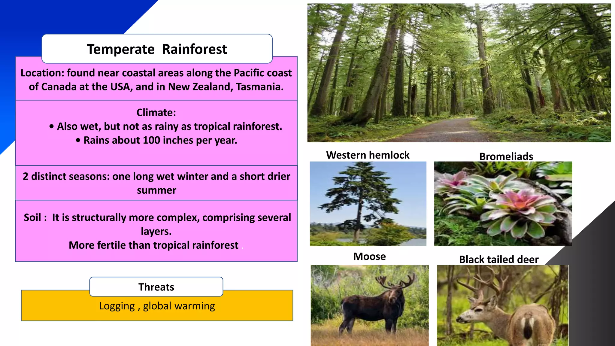 MAJOR BIOMES OF WORLD | PPTX