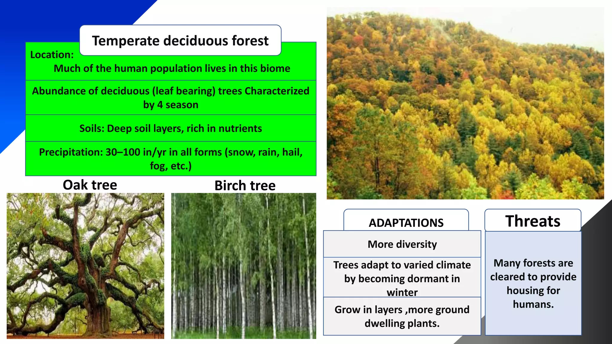 MAJOR BIOMES OF WORLD | PPTX