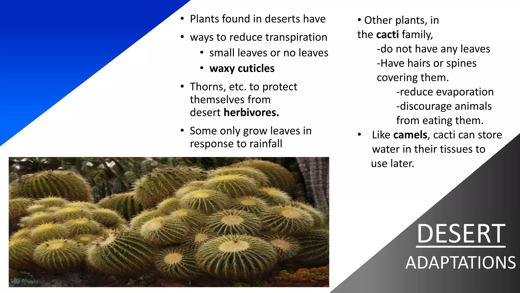 MAJOR BIOMES OF WORLD | PPTX