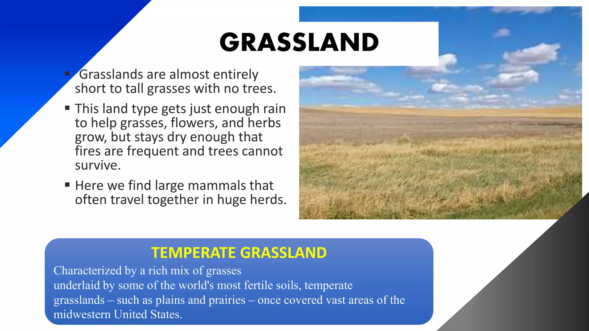 MAJOR BIOMES OF WORLD | PPTX