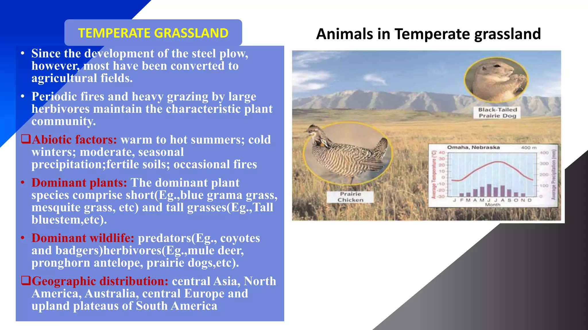 MAJOR BIOMES OF WORLD | PPTX
