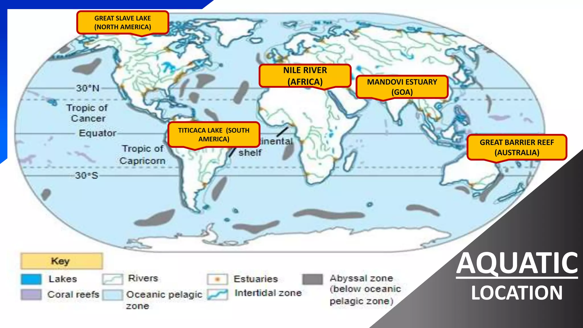 MAJOR BIOMES OF WORLD | PPTX