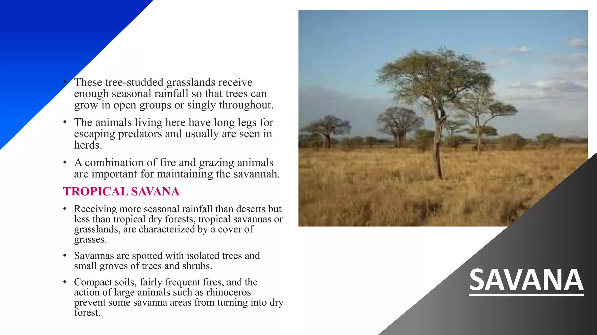 MAJOR BIOMES OF WORLD | PPTX