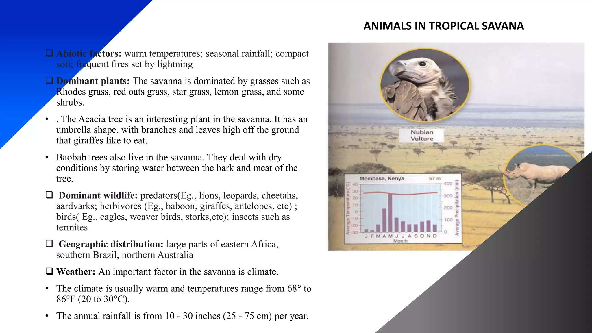 MAJOR BIOMES OF WORLD | PPTX