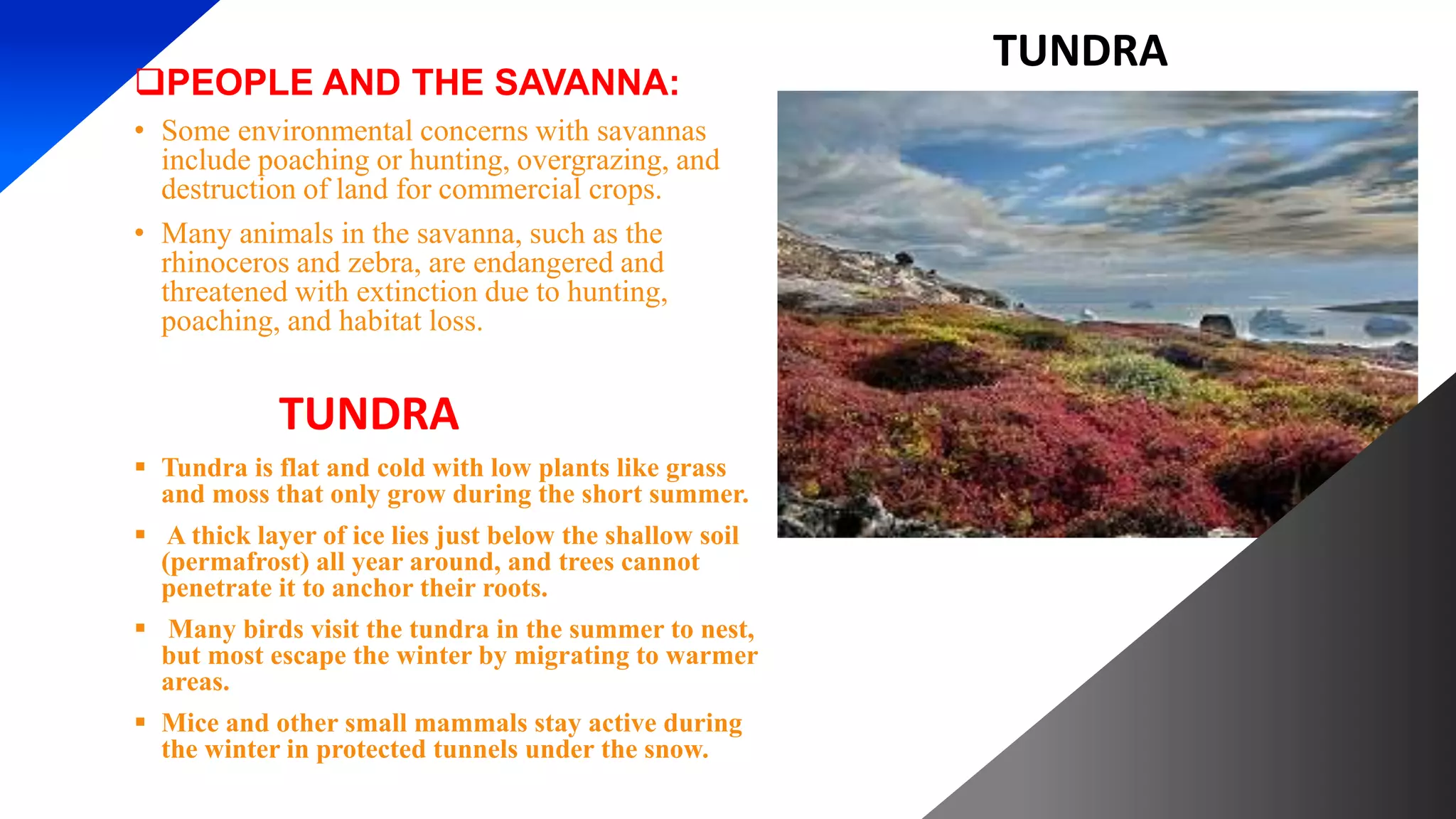 MAJOR BIOMES OF WORLD | PPTX