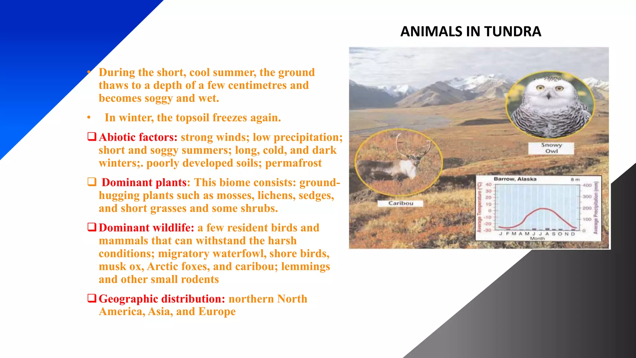 MAJOR BIOMES OF WORLD | PPTX