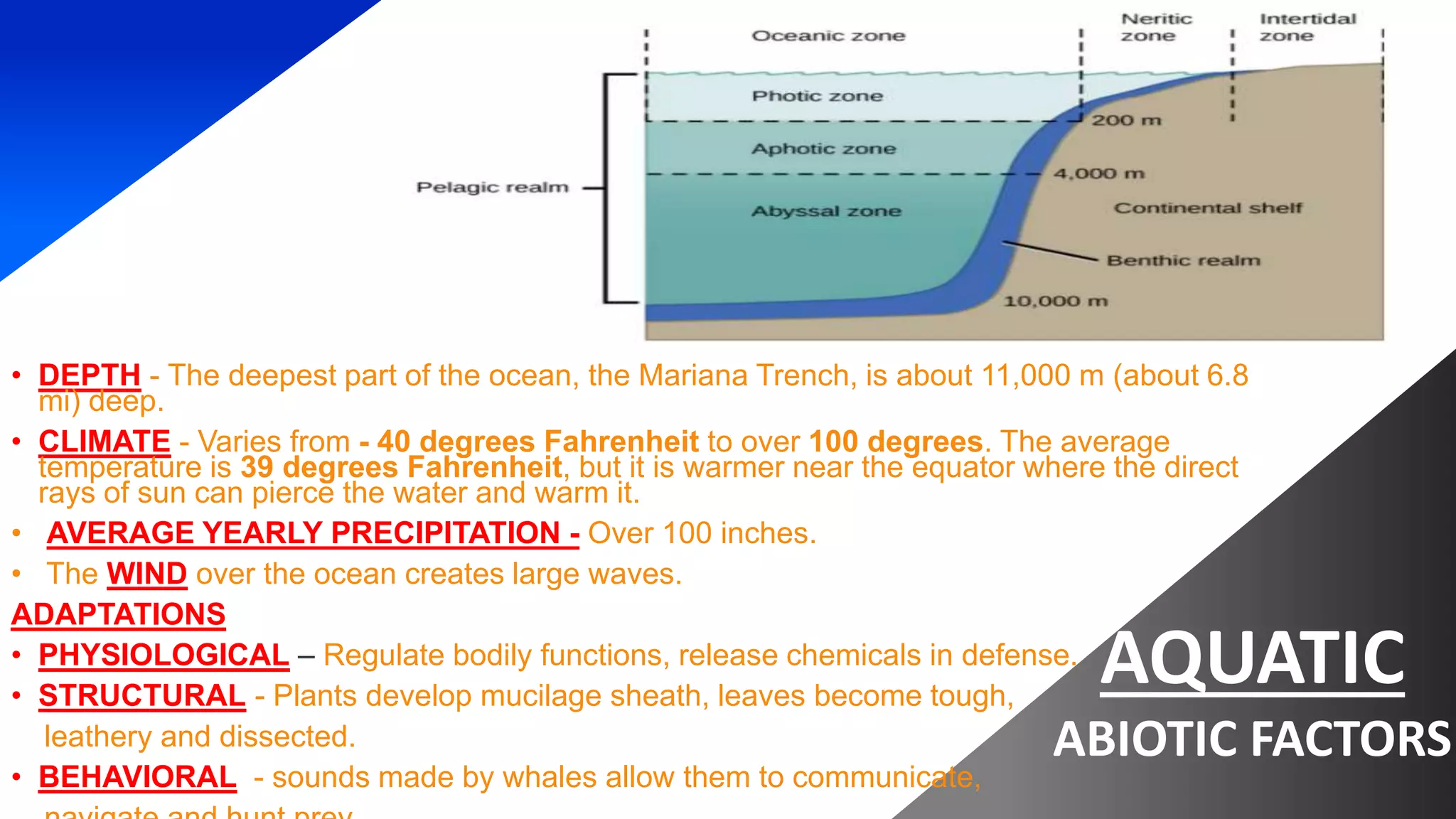 MAJOR BIOMES OF WORLD | PPTX