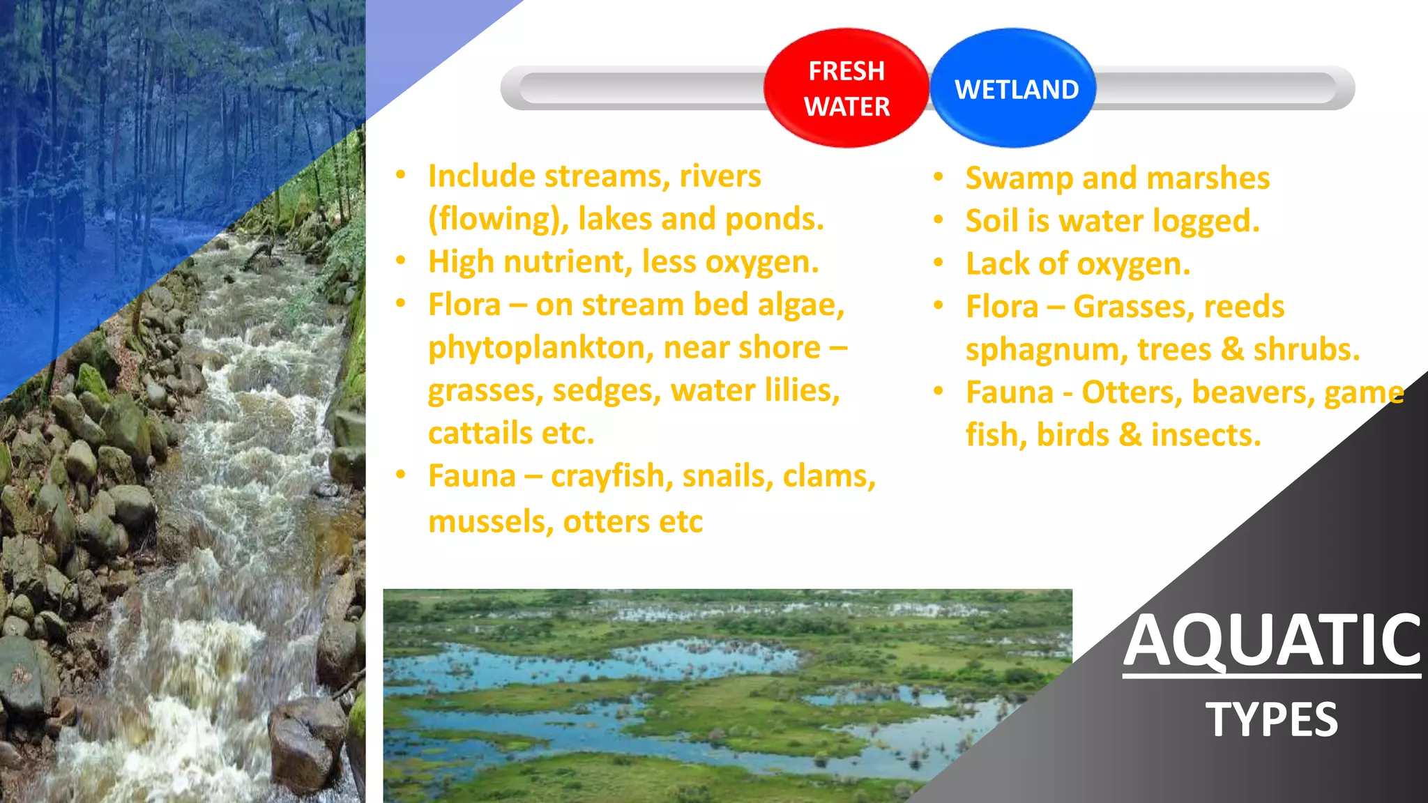 MAJOR BIOMES OF WORLD | PPTX