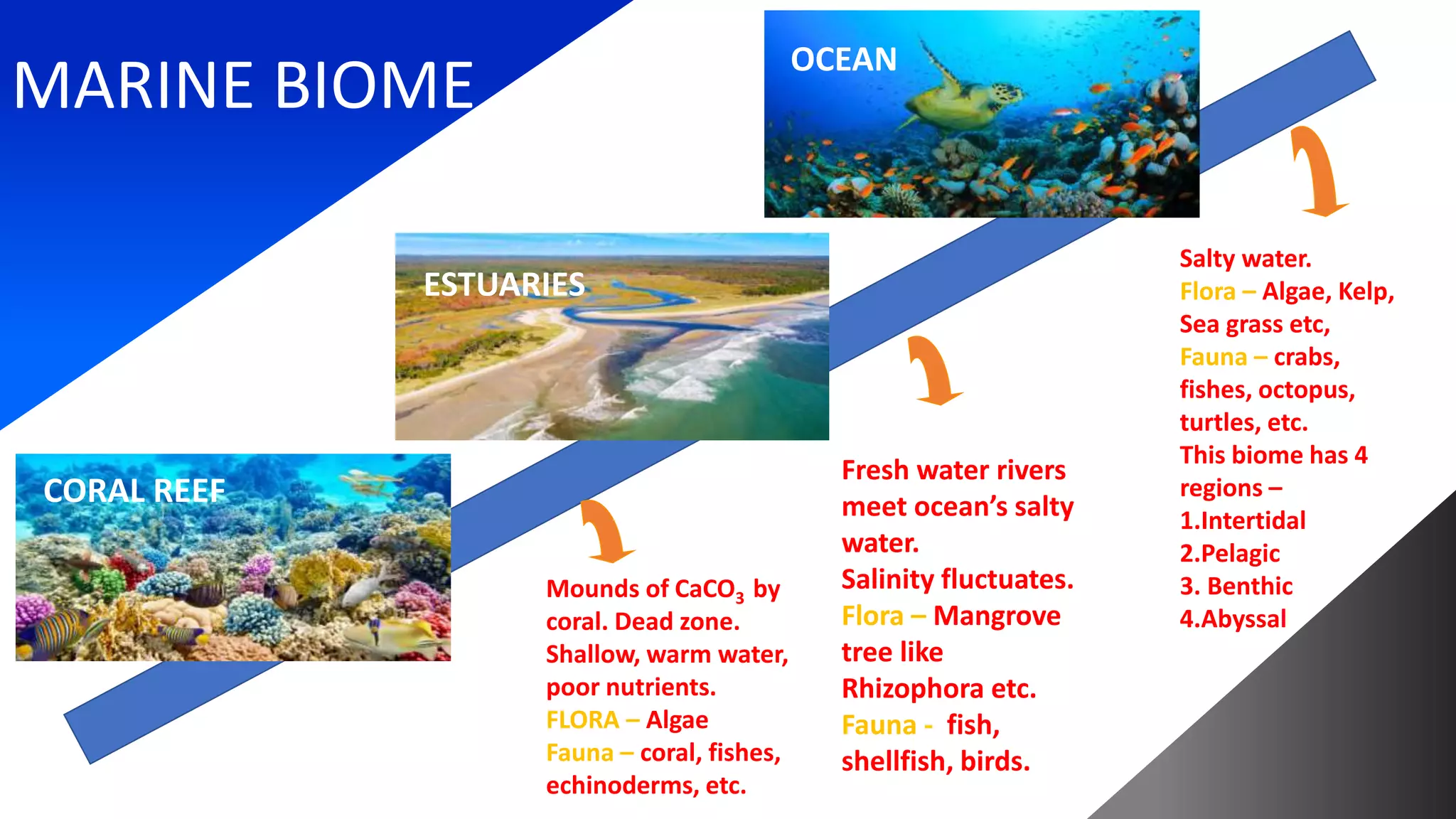 MAJOR BIOMES OF WORLD | PPTX