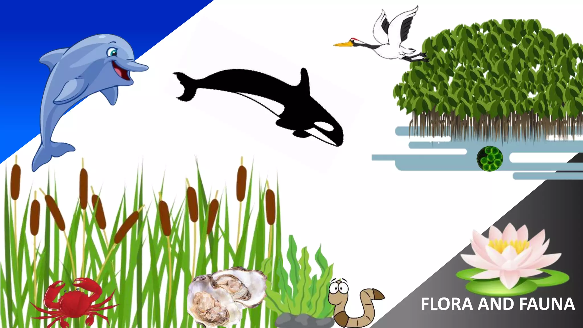MAJOR BIOMES OF WORLD | PPTX