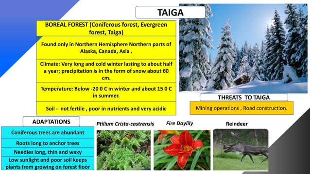 MAJOR BIOMES OF WORLD | PPTX