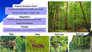 MAJOR BIOMES OF WORLD | PPTX