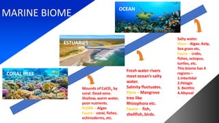 MAJOR BIOMES OF WORLD | PPTX