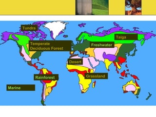 Biomes powerpt | PPT | Geography | Science