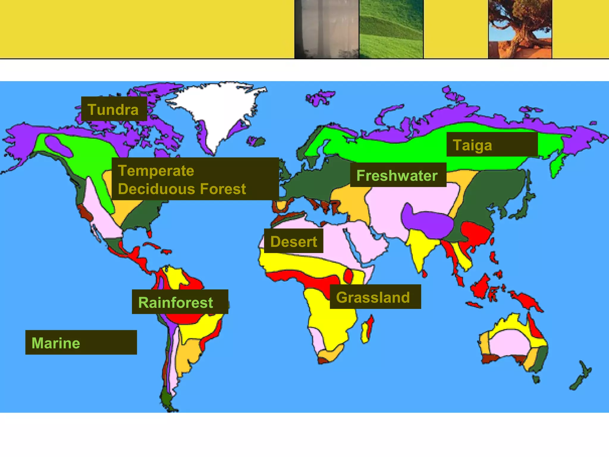 Biomes powerpt | PPT