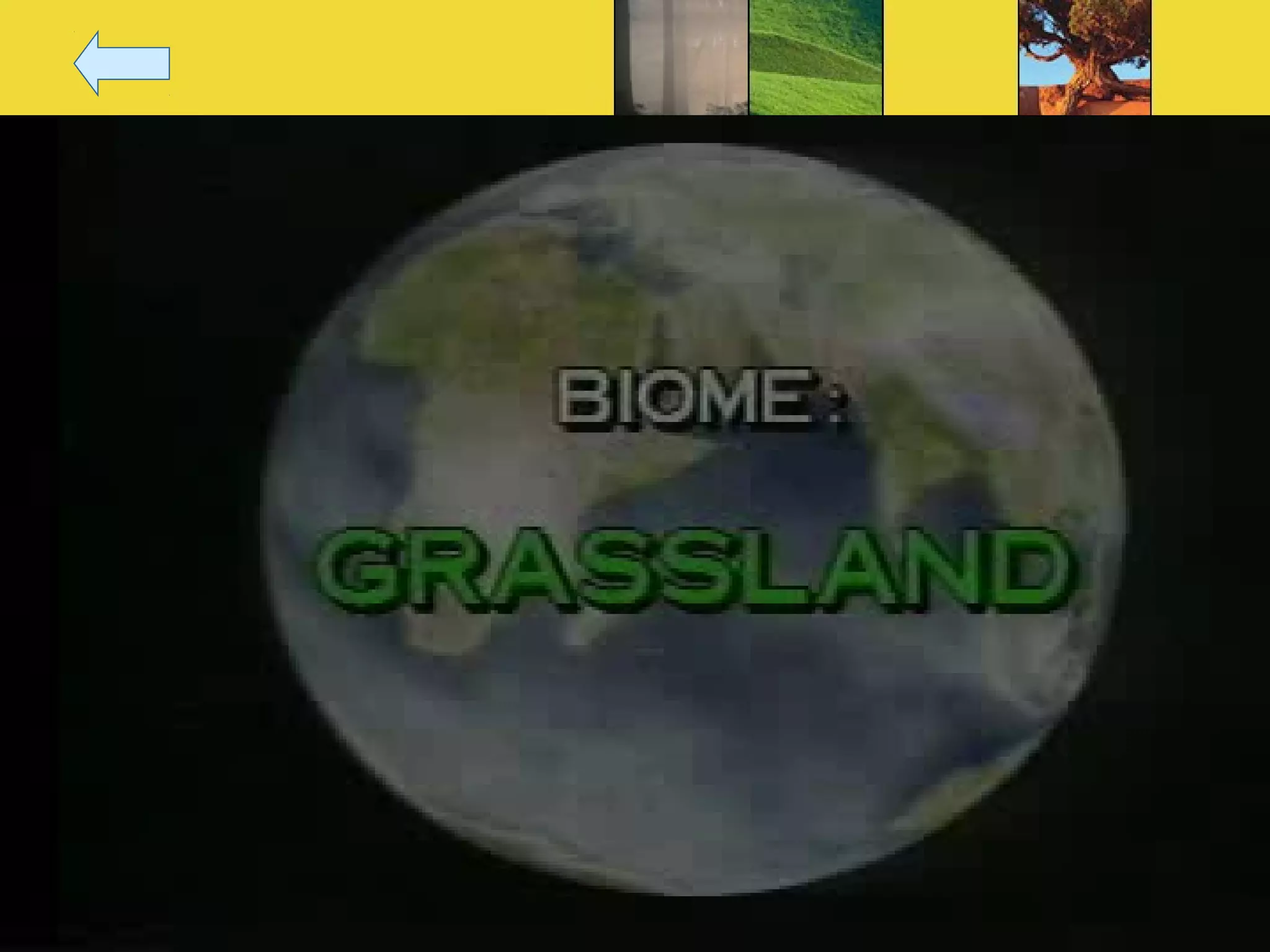 Biomes powerpt | PPT