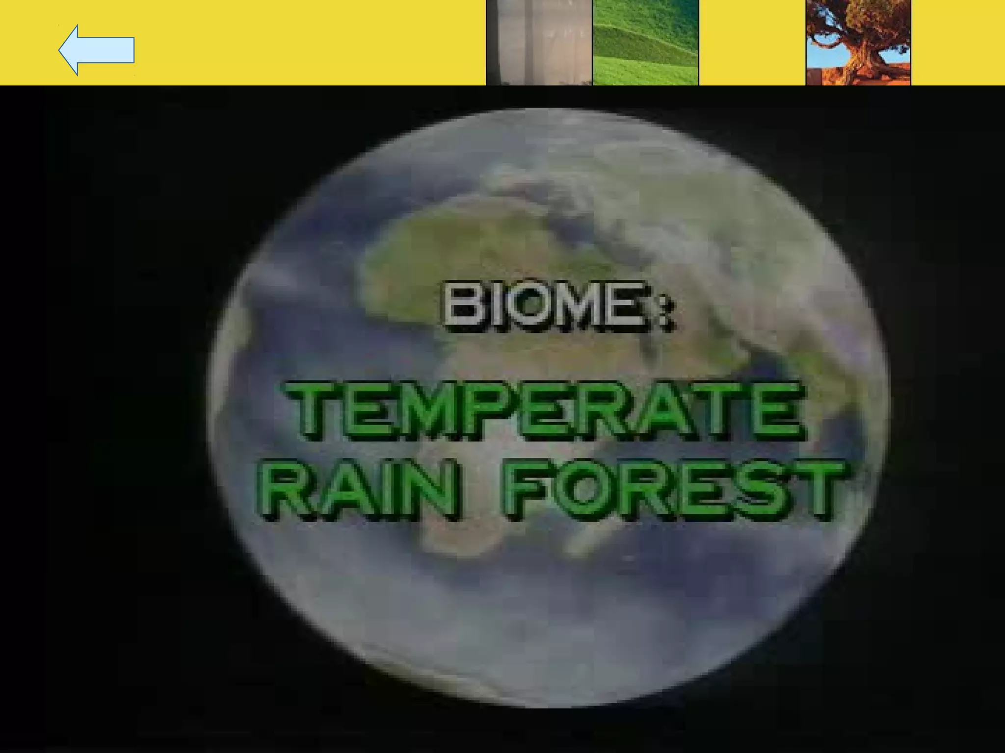 Biomes powerpt | PPT