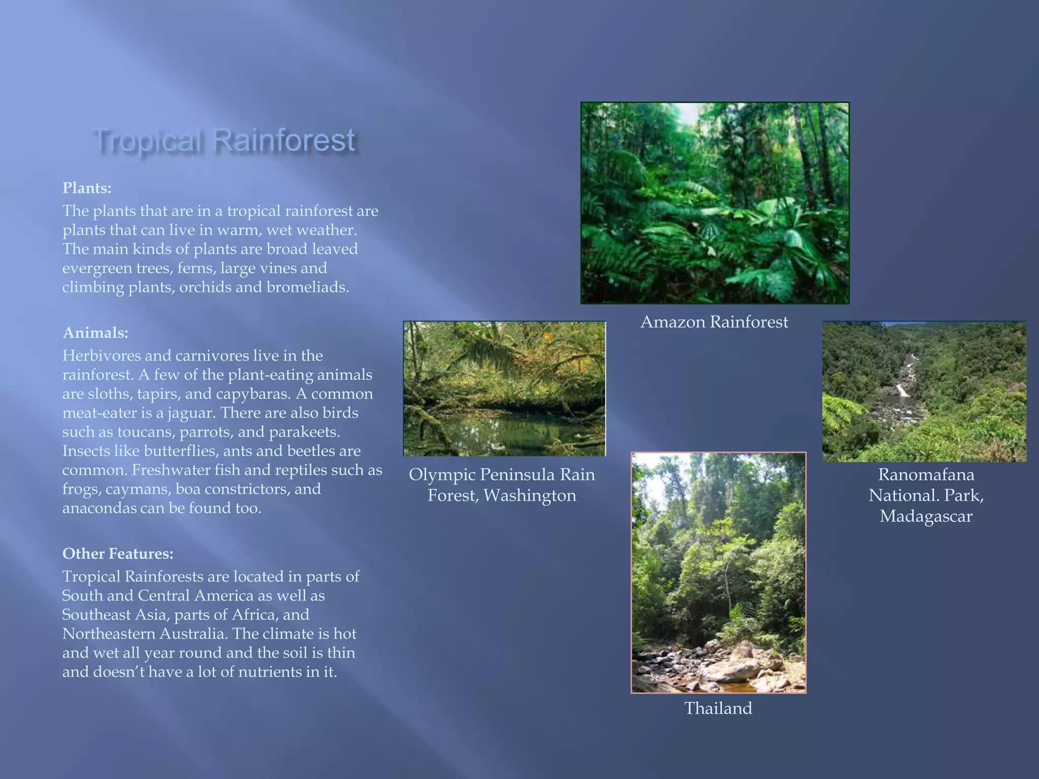 Biomes presentation | PPTX