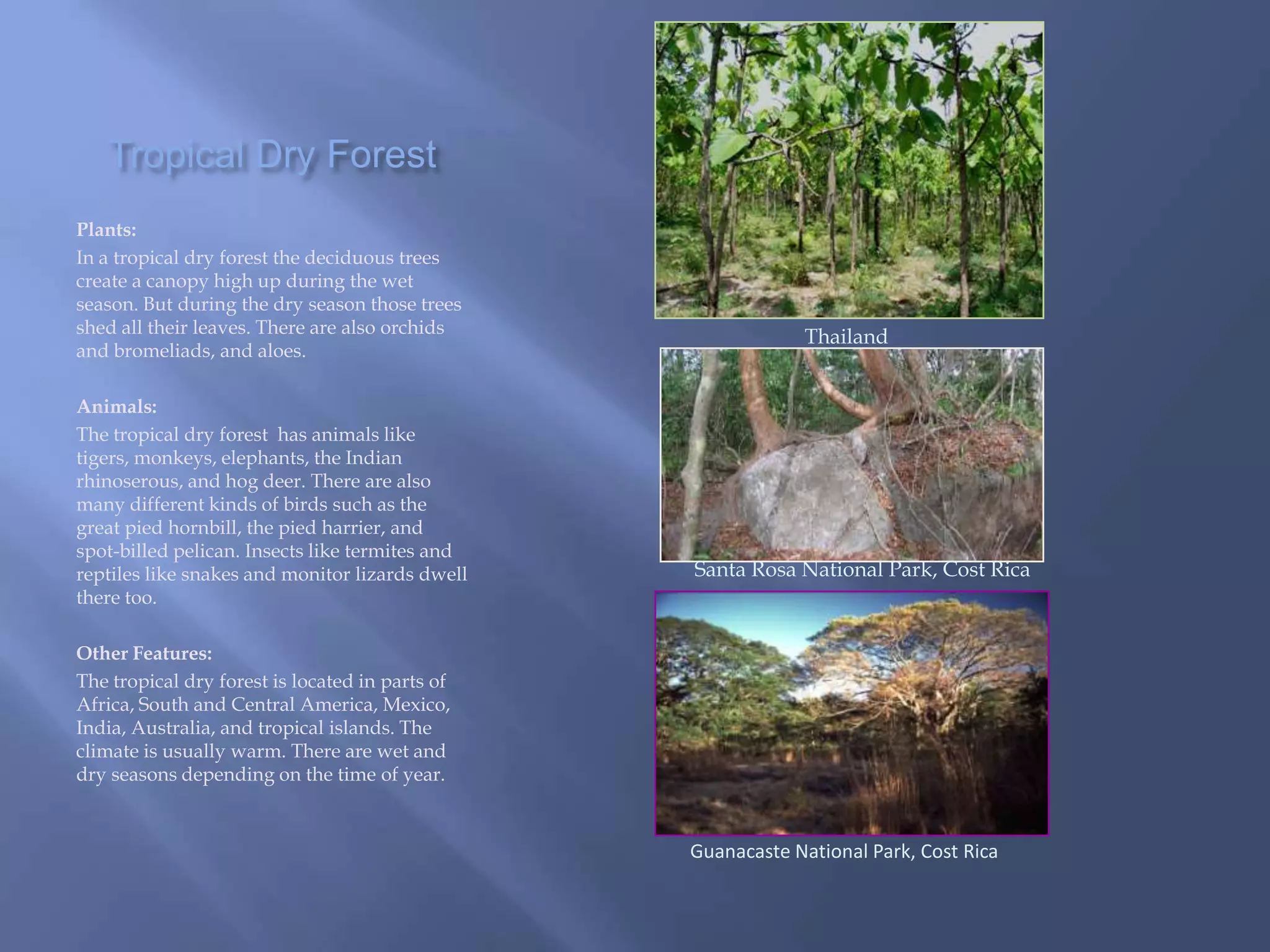 Biomes presentation | PPTX